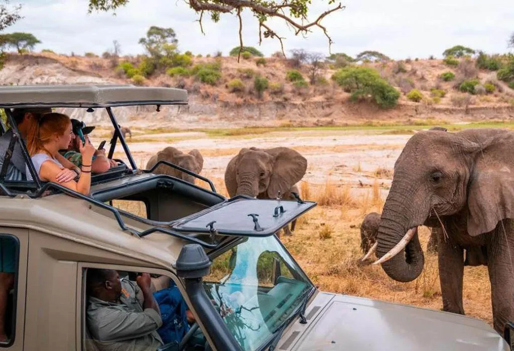 Best African Tours & Safari Packages 2025/2026