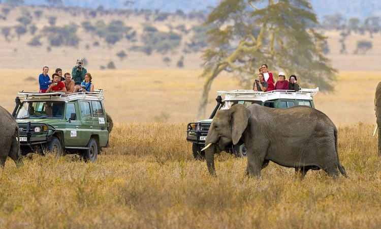 Best Safari Activities in Uganda National Parks