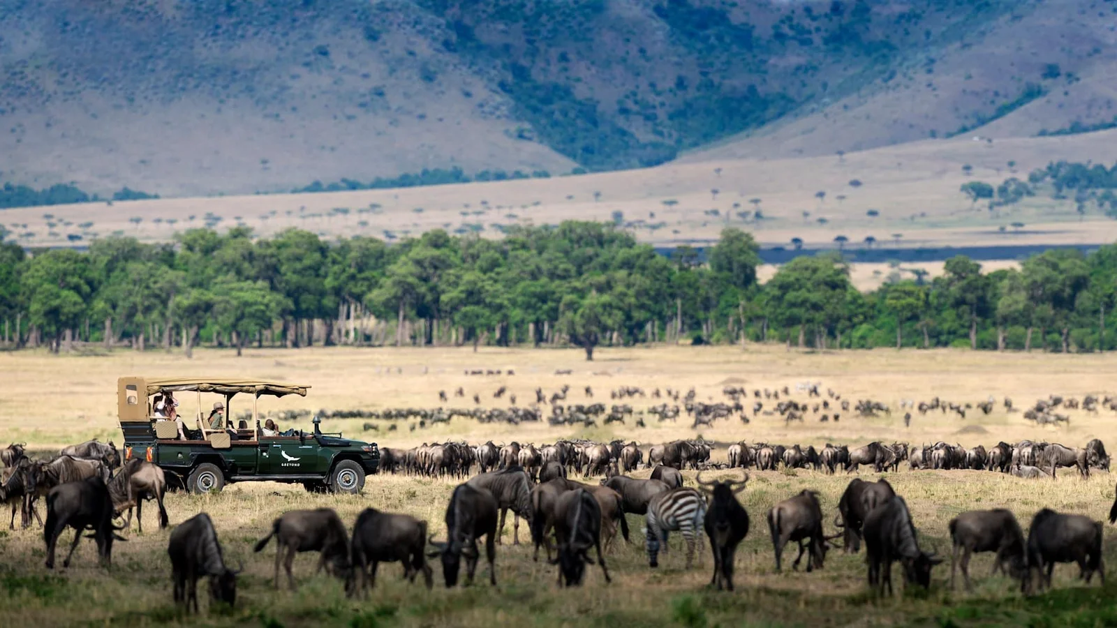 Maasai Mara Migration Safari: How to Plan Your Trip